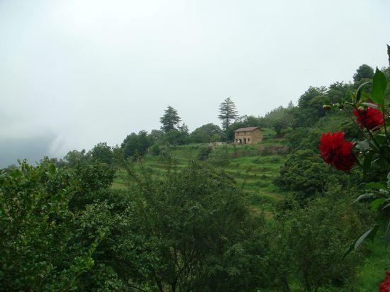Jilling Estate - Photos - landscapes, flora, fauna