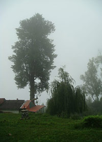 Jilling Estate - Article by Jug Suraiya